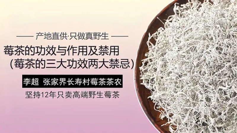 莓茶的功效与作用及禁用(莓茶的三大功效两大禁忌)