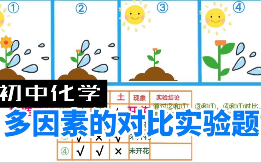 初中化学,多因素的对比实验题