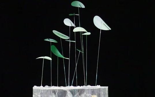 【动态机能造型】美院大一数字媒体艺术装置《涟叶三诘》