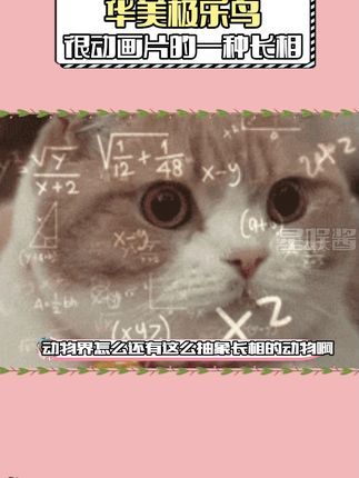 好抽象的长相,3次元秒变二维动画#万万没想到 #动物 #抽象