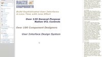 使用Raize组件和RAD Studio XE2进行用户界面设计