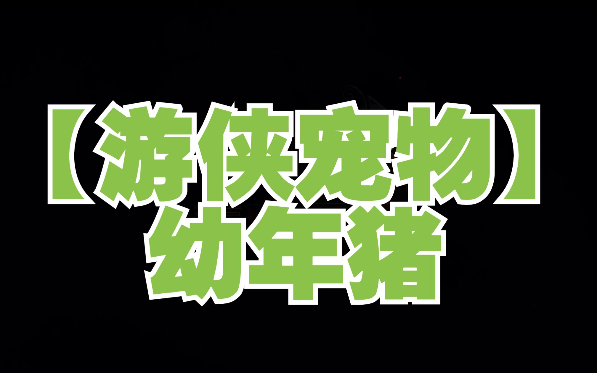 激战2金昆【游侠宠物】幼年猪_哔哩哔哩bilibili_激战2