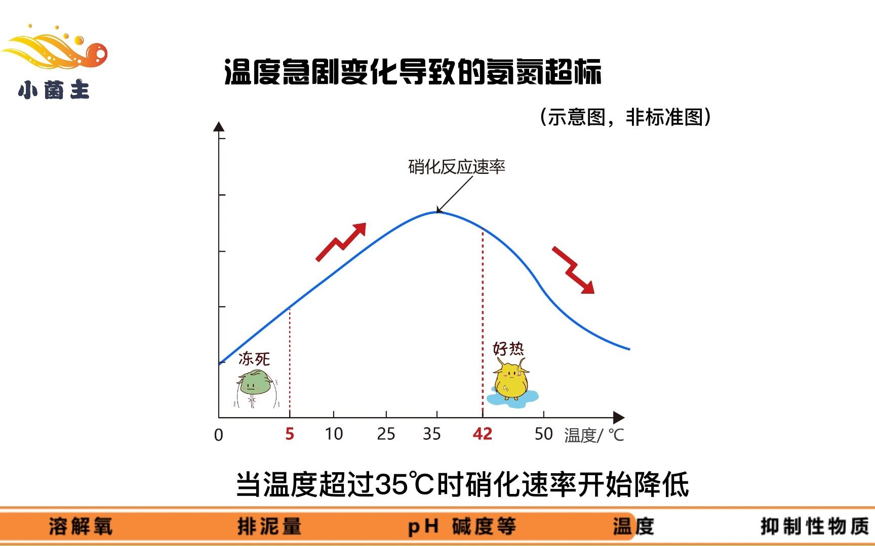 氨氮超标怎么办--排查硝化问题的原因
