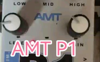 AMT单块效果器P1