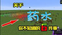我的世界: 药水你可能不知道的6件事, 两瓶同样的药水一起喝血亏!