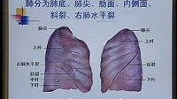 系统解剖学 15气管支气管肺胸膜纵膈