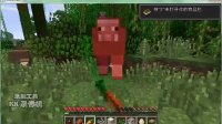 我的世界 生存篇 第二期