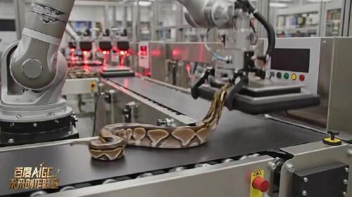 图书馆惊现"巨蟒"图书!自动分拣系统紧急送往异常处理区