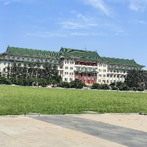 春艳老师 