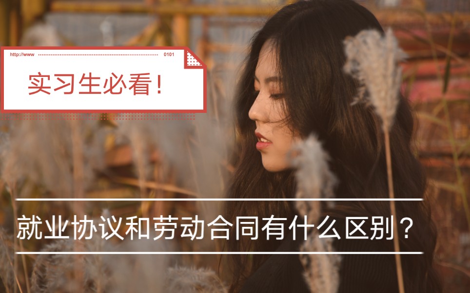 实习生必看!就业协议和劳动合同是一样的吗?