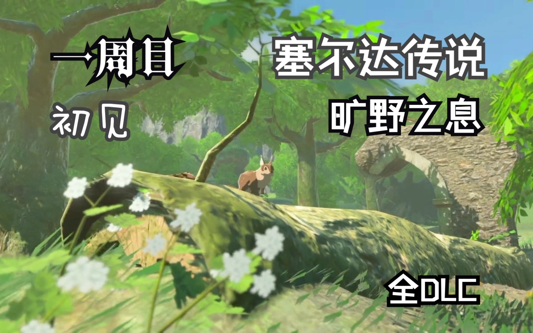 09.初见/一周目/塞尔达传说:旷野之息/消失的咕咕鸡
