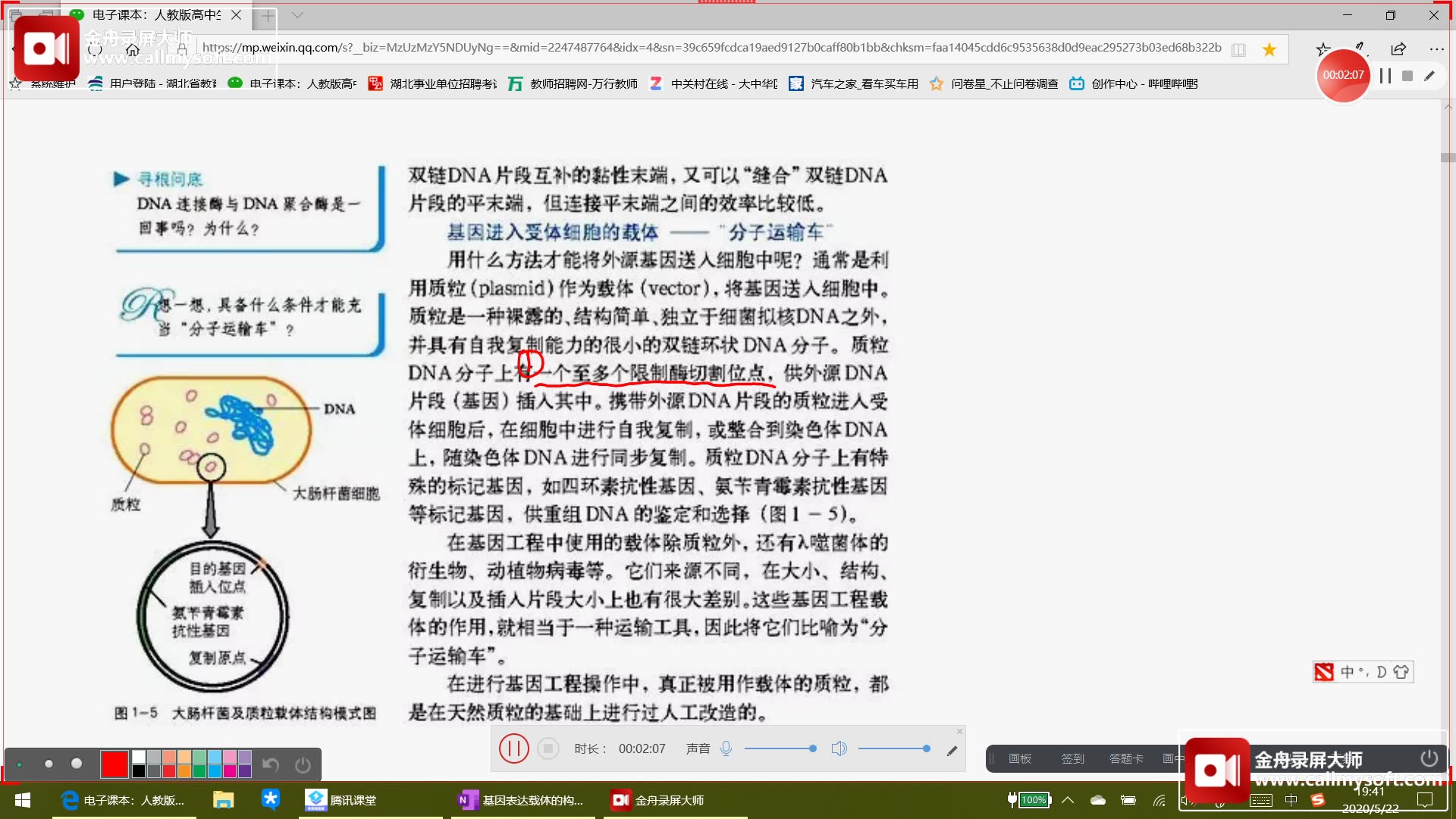 【直播课】基因工程第四讲 基因表达载体的构建、目的基因导入受体...