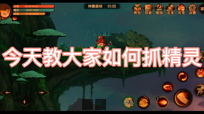 造梦无双教大家怎么抓宠物赞过50有下期