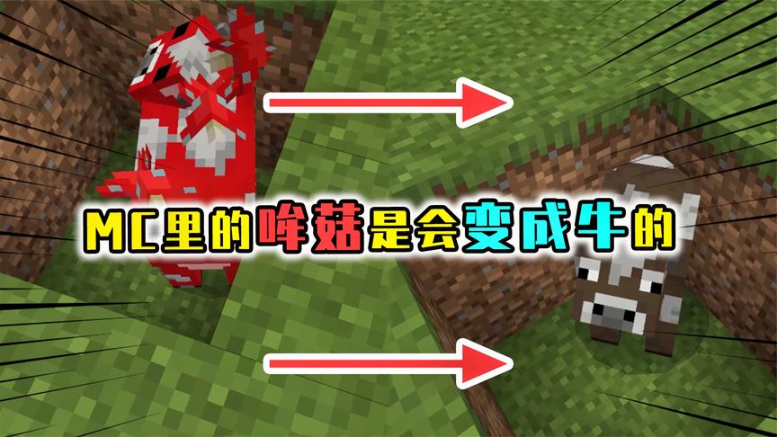 我的世界:MC里存在神奇坐标0-0,能帮你突破256个的限制高度