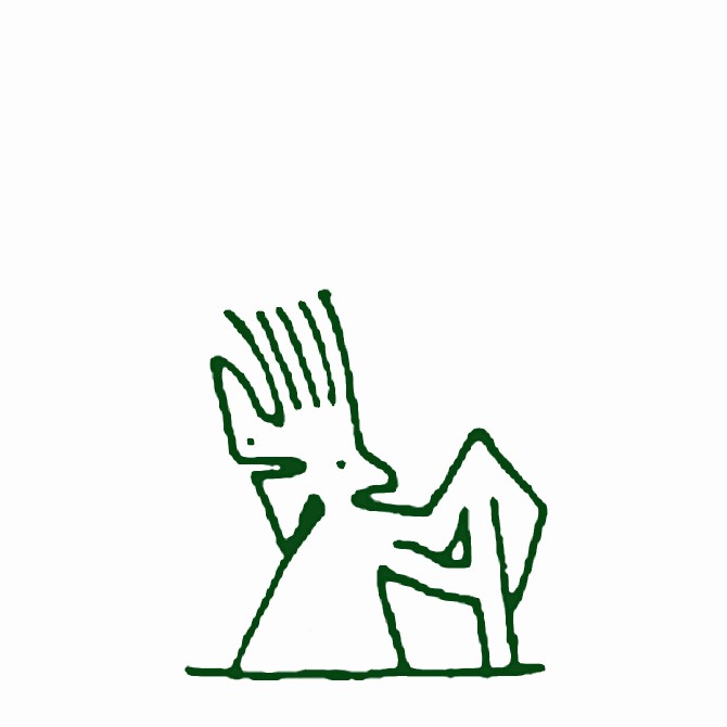 岭南笔记 