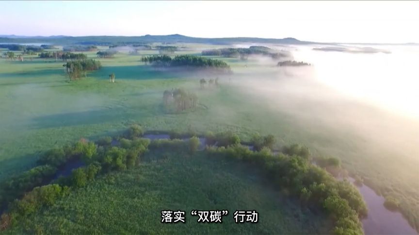 落实“双碳”行动,共建美丽家园
