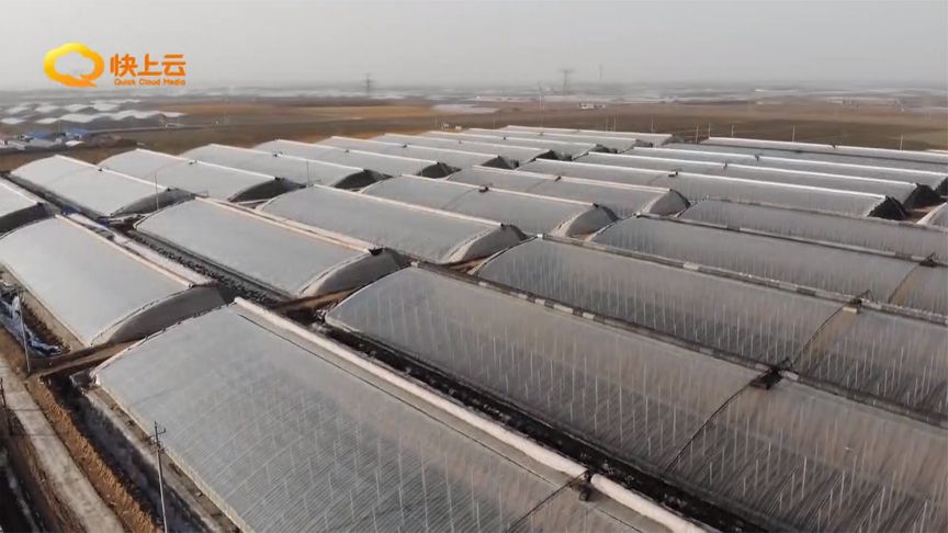 潍坊市市场监管局:打造地理标志商标创建新高地
