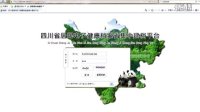 四川省居民电子健康档案省集中建档平台-登陆