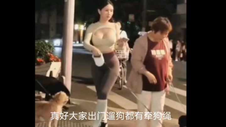 真好大家遛狗都有牵狗绳