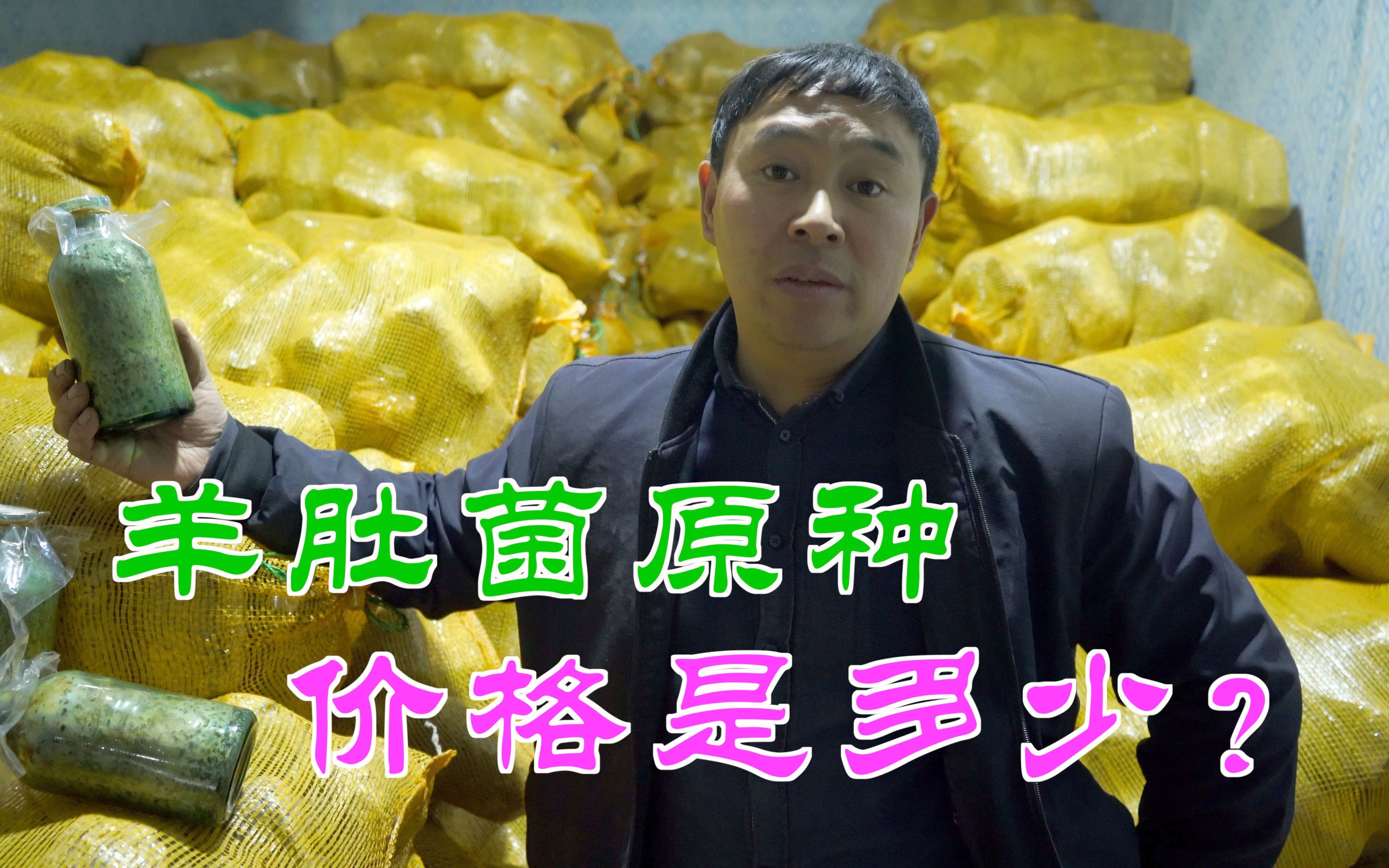 一瓶羊肚菌原种多少钱,单价批发都一样吗?