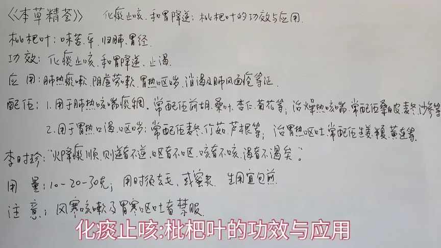 化痰止咳:枇杷叶的功效与应用
