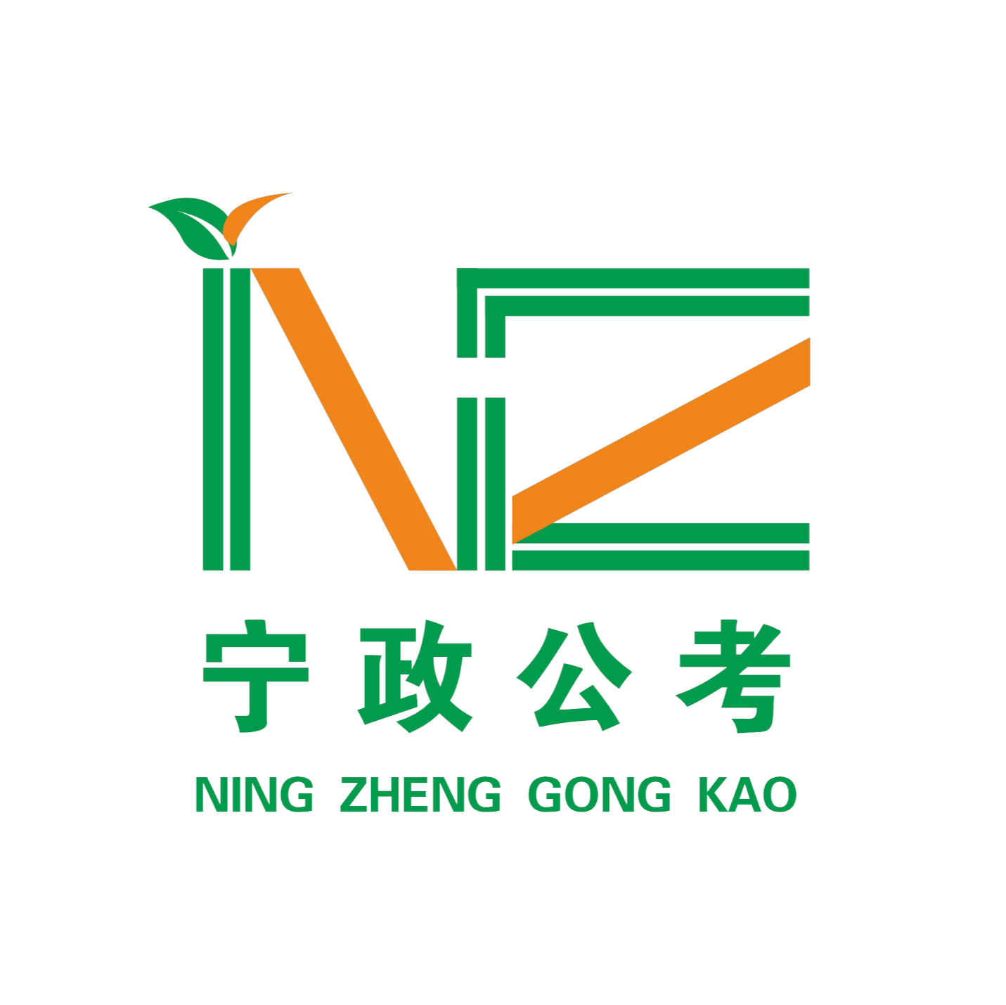 宁政公考 