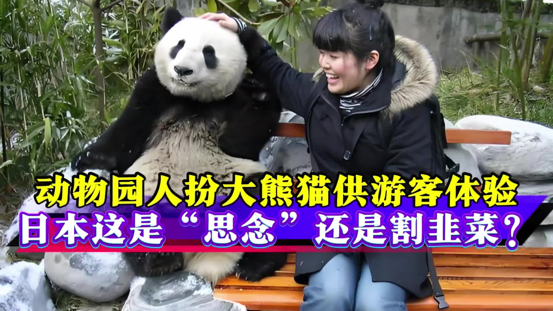 8000日元拍人扮熊猫!日本动物园的“思念”还是割韭菜?#上热门话题...
