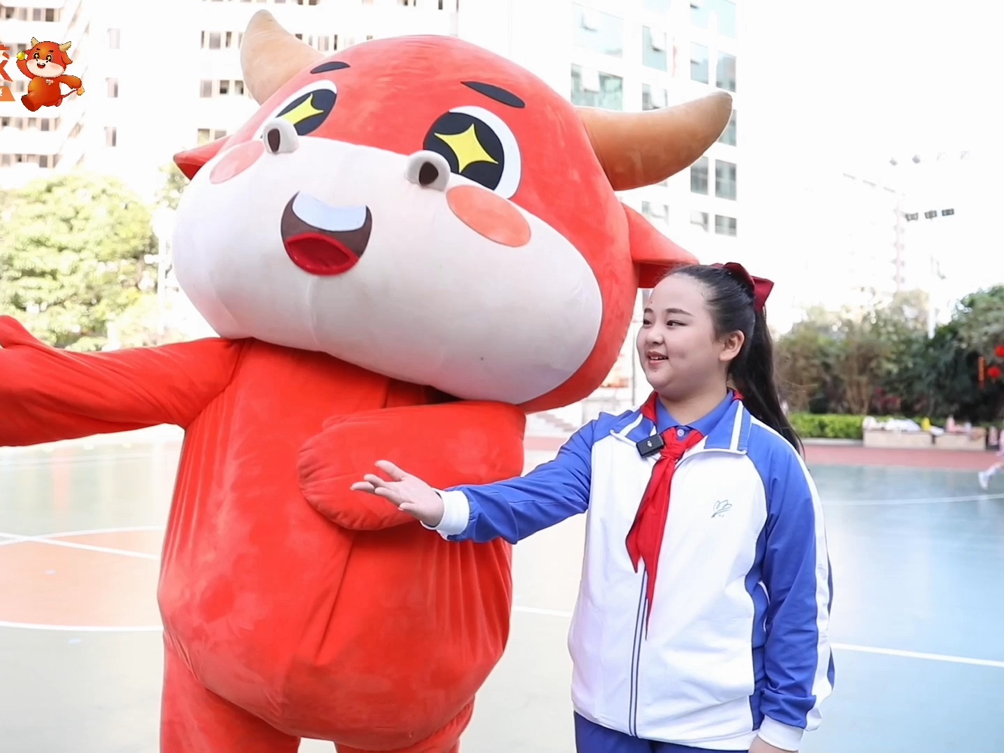 能在在操场上露营 教室里开美食街的红岭小学 #罗湖学校推荐