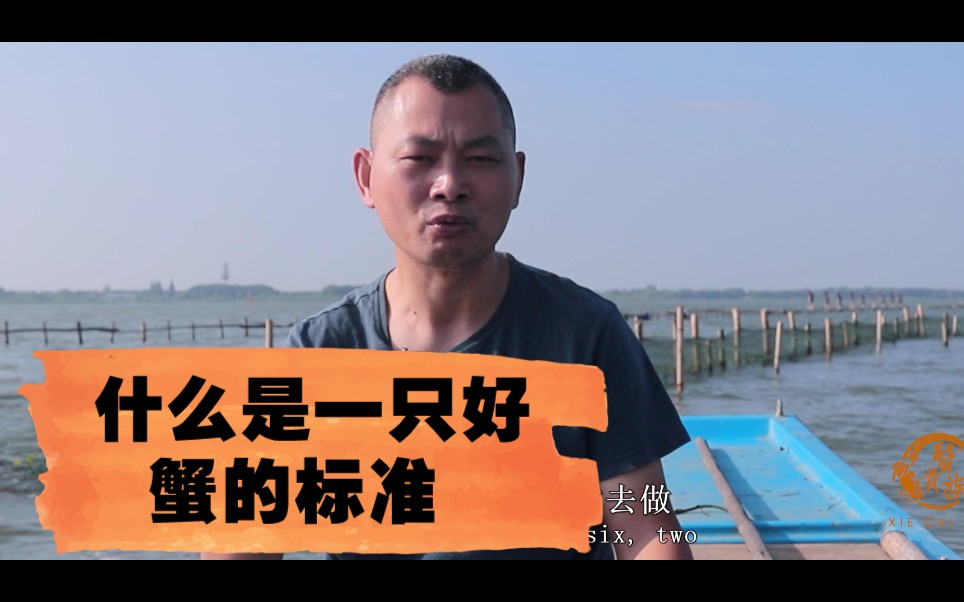 大闸蟹日常吃的是什么?