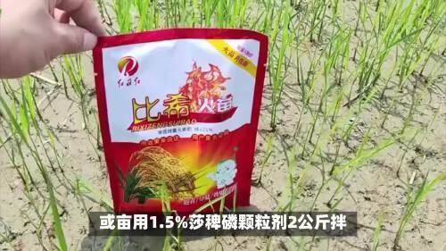 莎稗磷的用法及注意事项,莎稗磷是有机磷农药吗