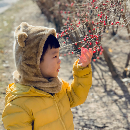 奥特曼卡片小子元宝 