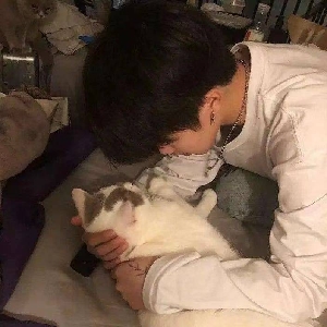 如故数码 