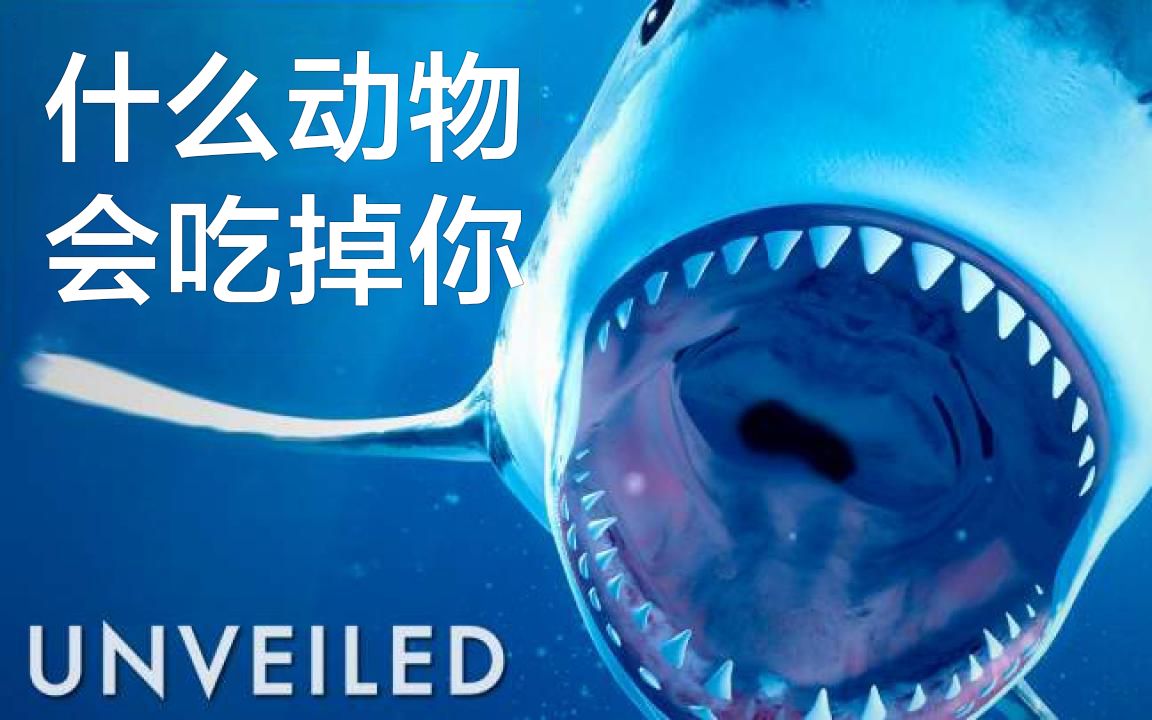 被活吞大概是最可怕的恶梦…如果你被活吞了,会怎样呢?