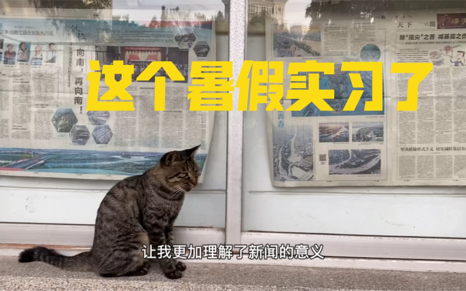 传统媒体永远都会在!
