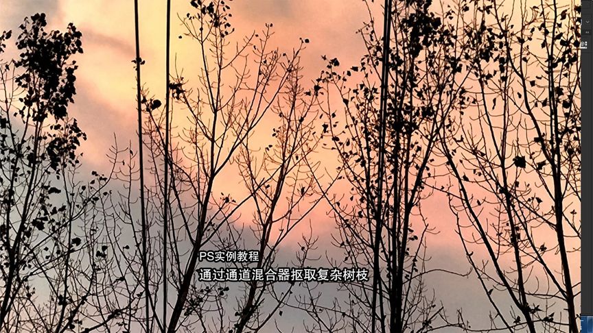 【PS教程】在Photoshop中如何通过通道混合器抠取复杂树枝?