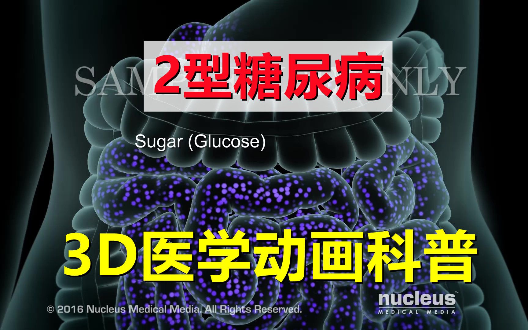 【3D医学动画科普】糖尿病.part2(中英双语字幕)