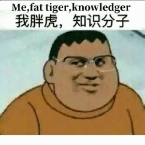 胖tiger 