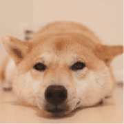 听名字就很胖 