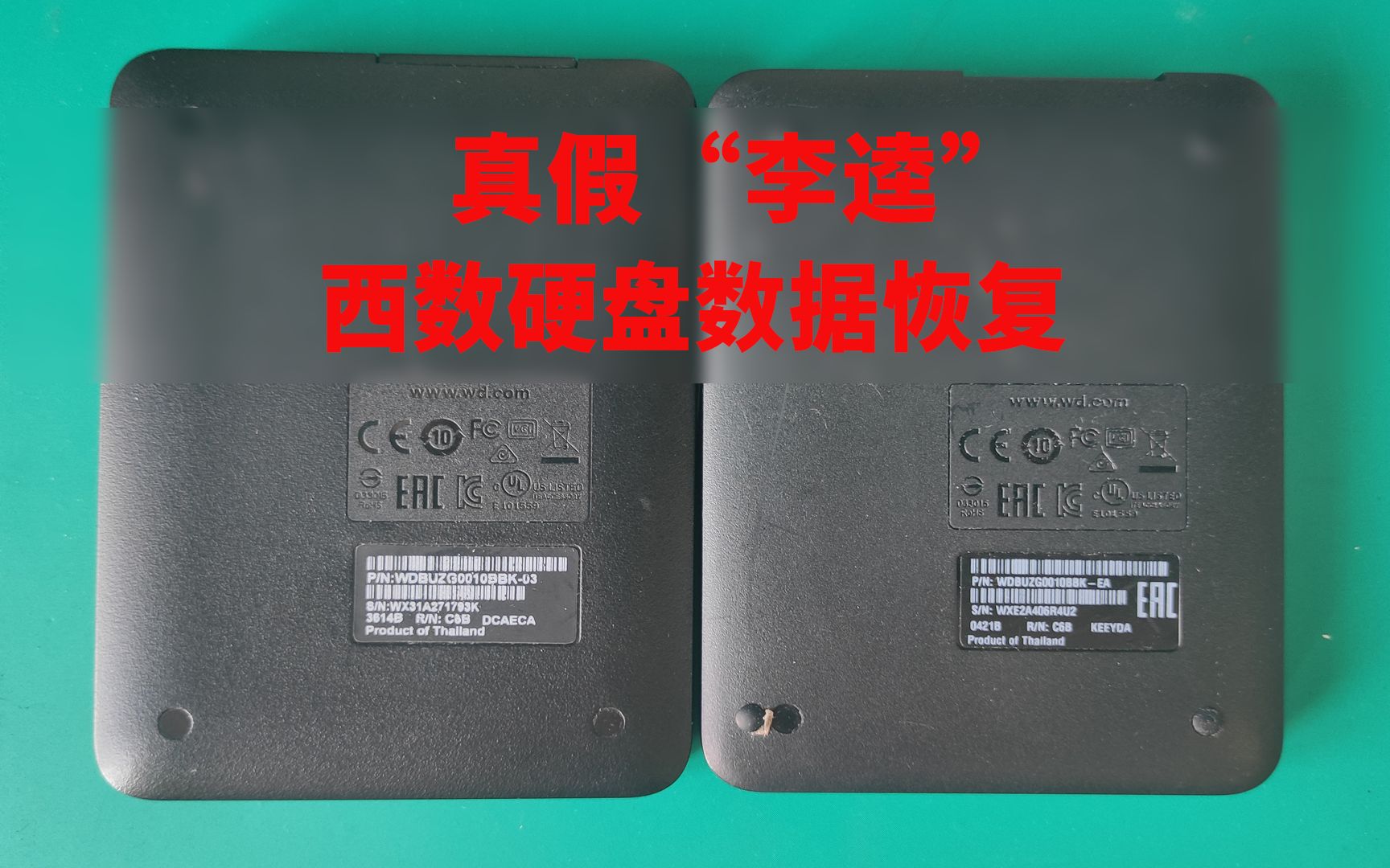 怎么辨别真假硬盘?西部数据假移动硬盘标签模糊,一眼辩真伪,开盘数据...