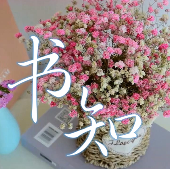 书知君-人生课堂 