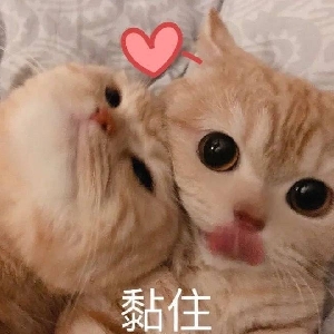 摸莫抹末 