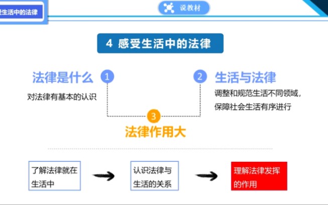 小学道德与法治《感受生活中的法律》公开课 优质课【说课 新课标】