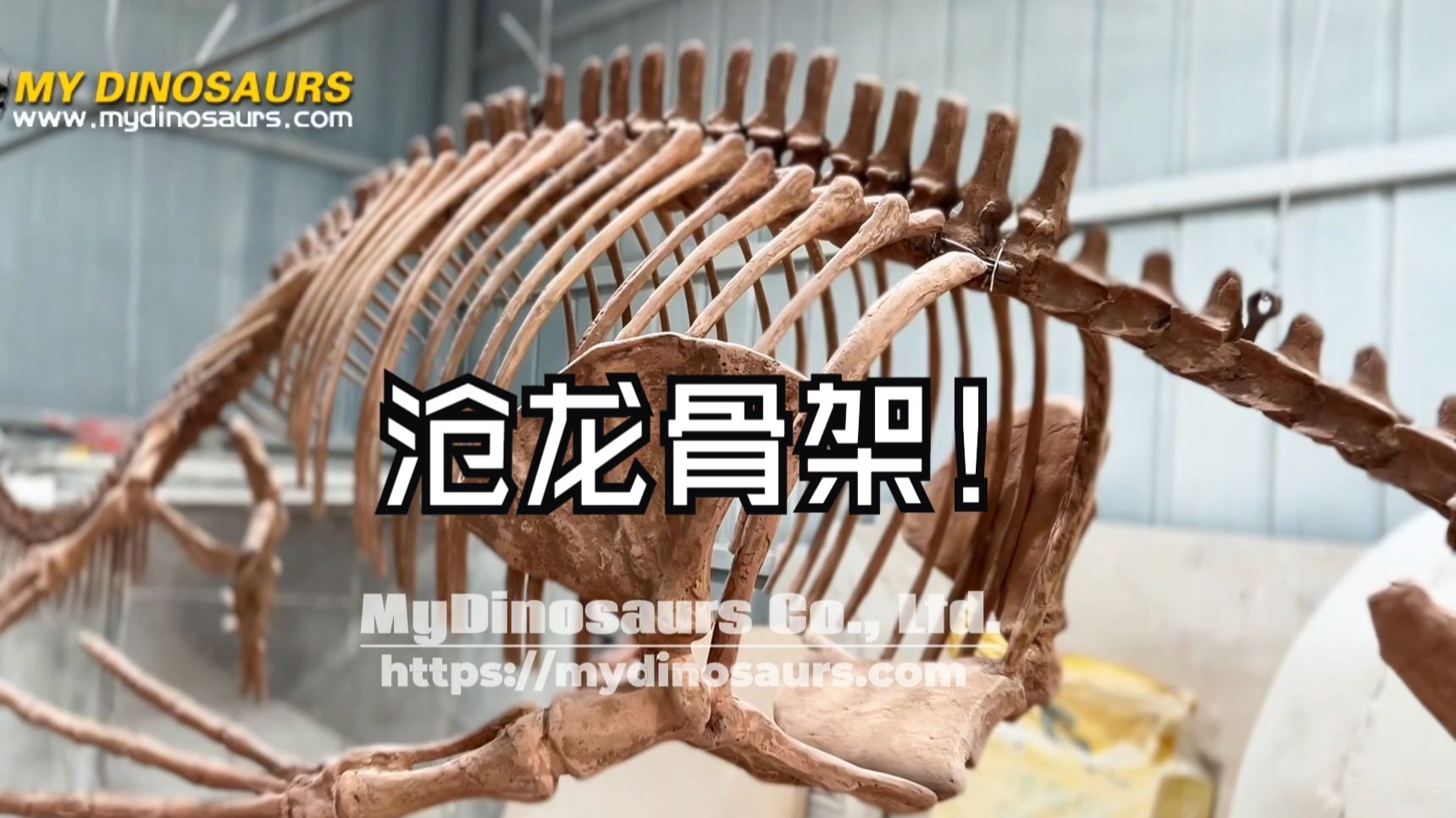 玻璃钢材质仿真3.8米沧龙骨架模型——白垩纪海洋霸主震撼还原!