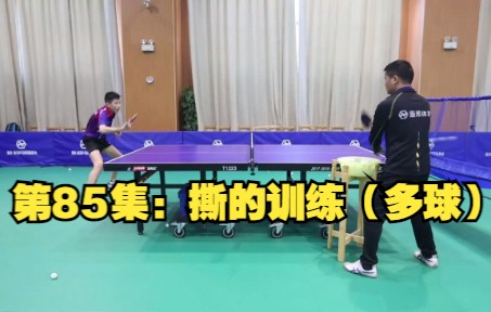《黄河教练教你打乒乓球启蒙教学》第85集:撕的训练(多球)