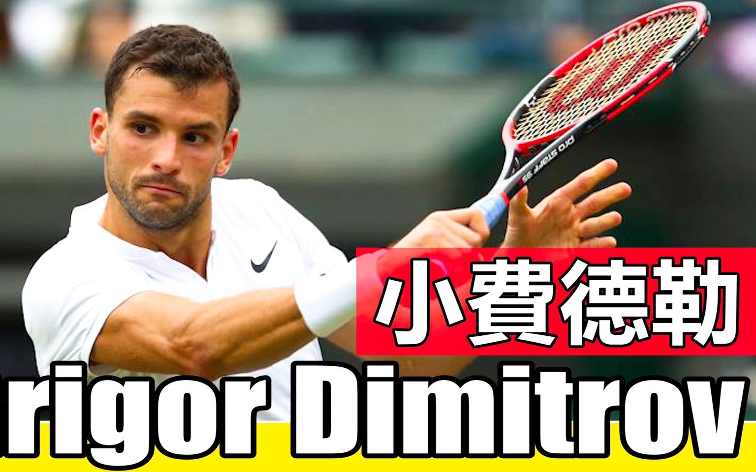 ...【快速认识网坛球星#22】 |Baby Federer|保加利亚一哥|Leon TV|ATP