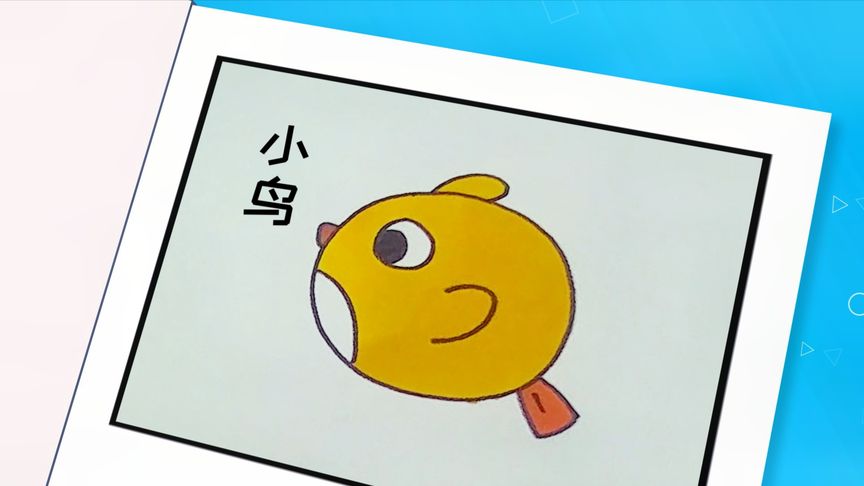 呆萌小鸟简笔画,快随它迎风飞翔吧!