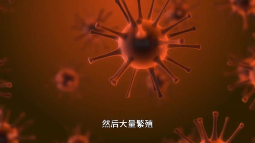 残忍的动物实验,到底隐藏着什么秘密?真相超乎你的想象