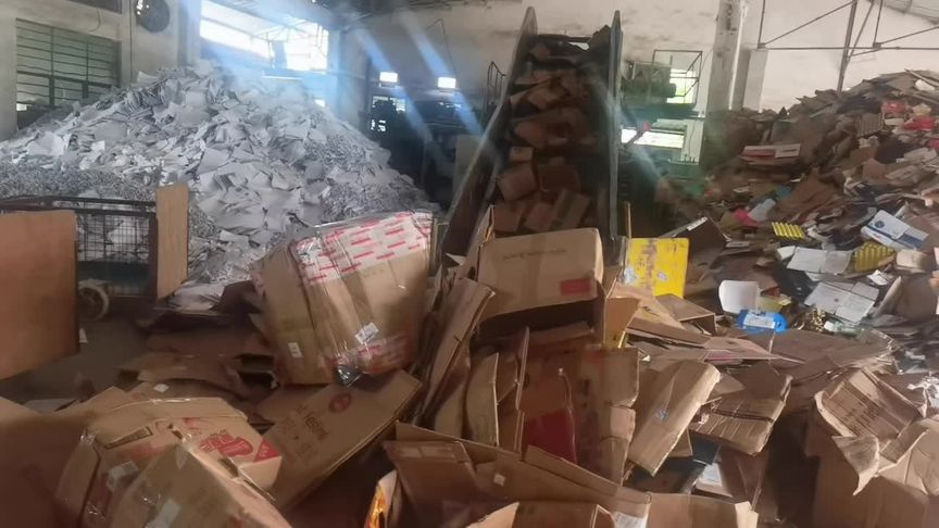 回收一吨纸在利用,可以减少3个立方米的树木砍伐。关注天仁再生