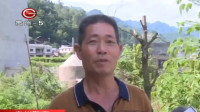 做事有自己的一套思路,为群众办实事,帮山中群众捎带证件近千次