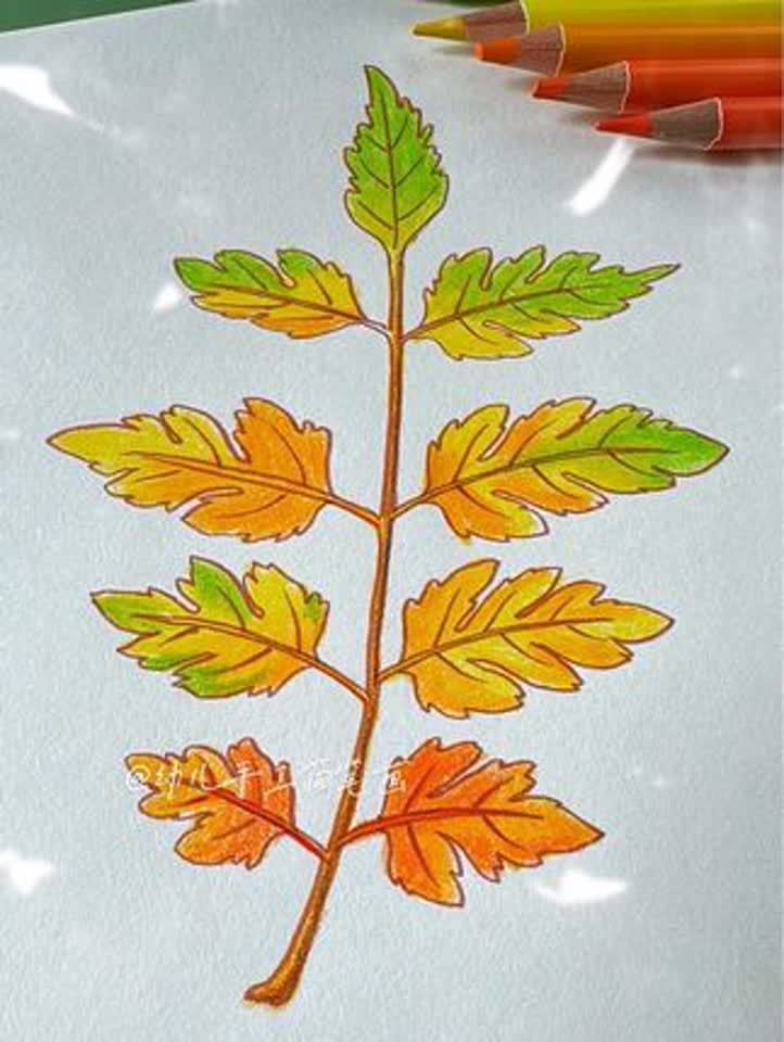.形状不同颜色的叶子! #简易花草画法 #简笔画 #秋天落叶 #一叶知秋 #